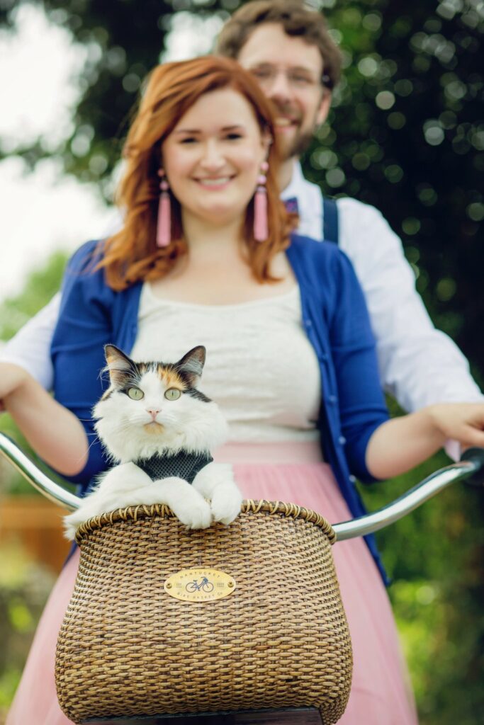Engagement Photos (with our cat!) | All Things Kate