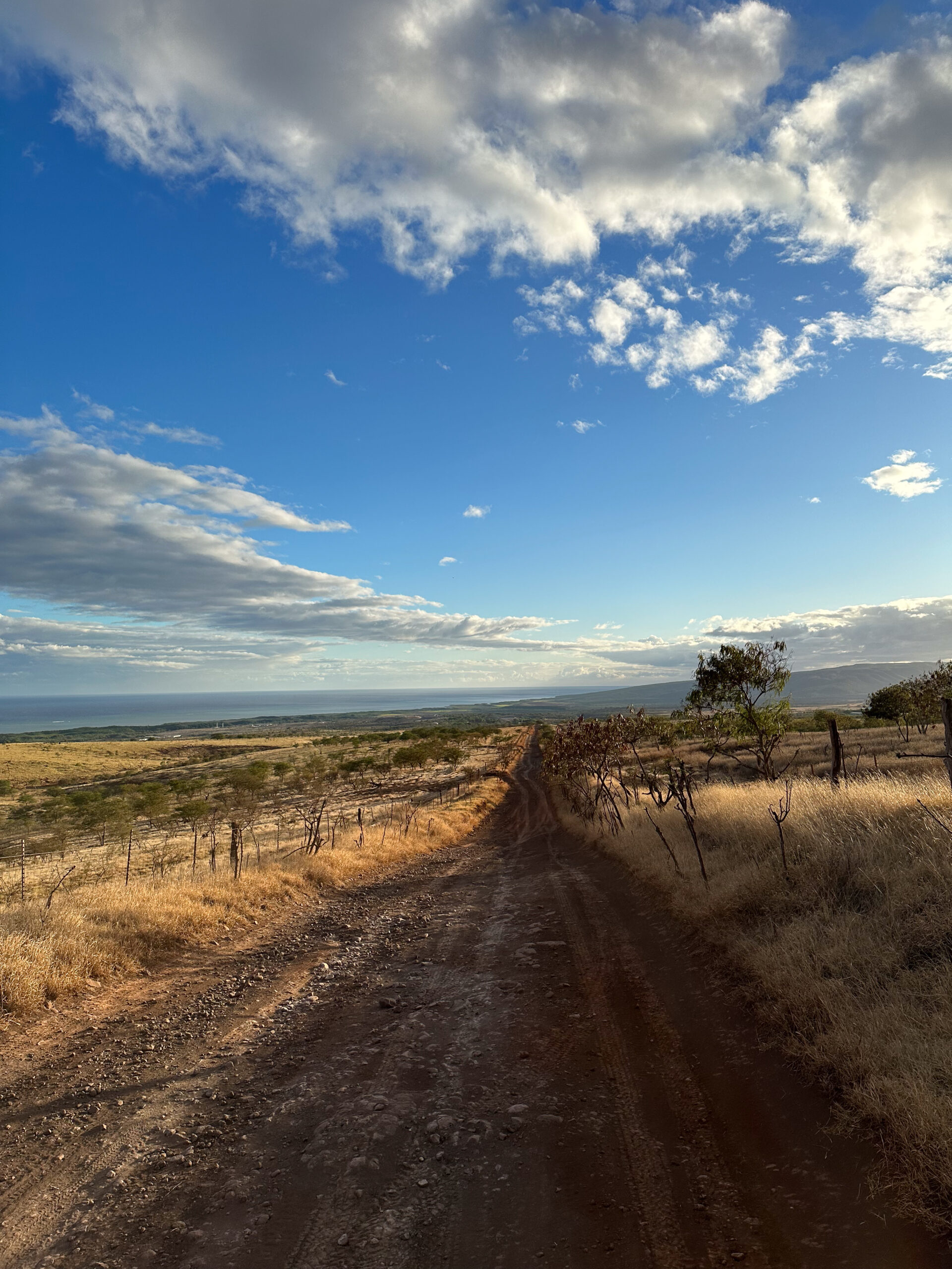 Essential Tips and Information: What to Know Before Visiting Molokai | All Things Kate